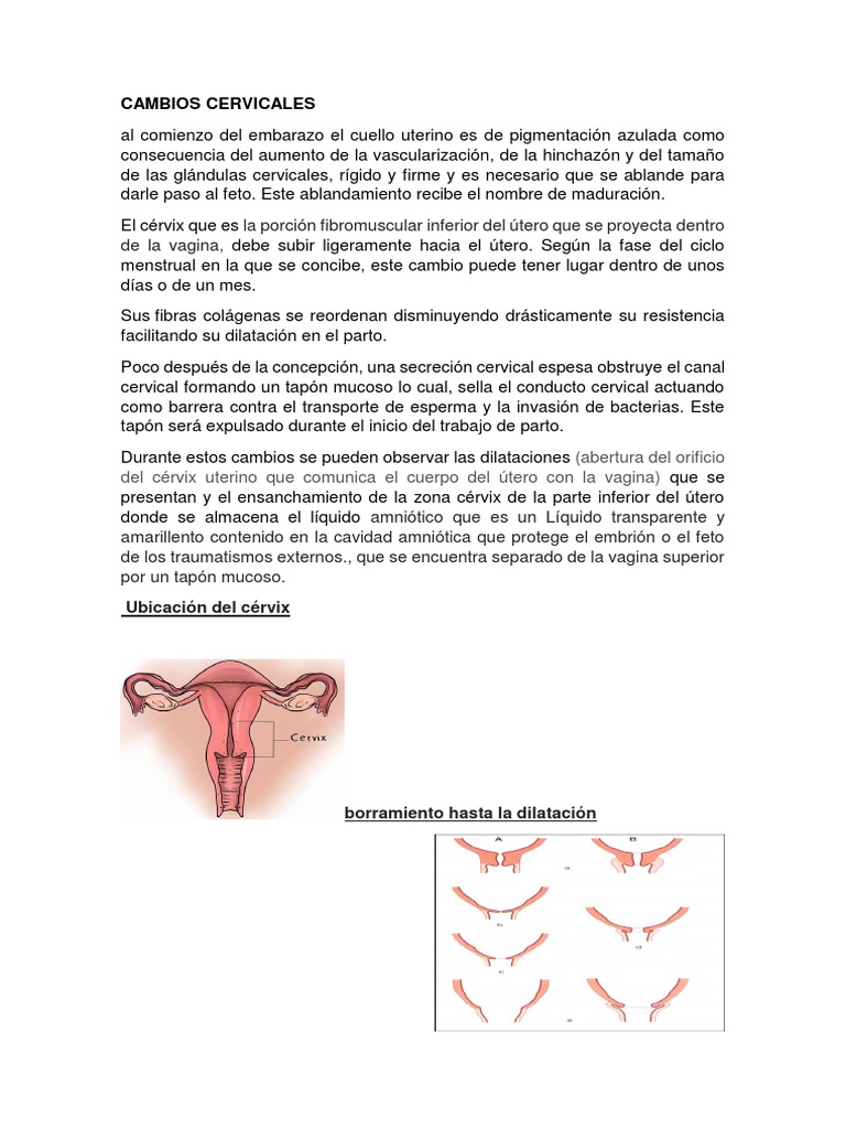 Cambios Cervicales | PDF