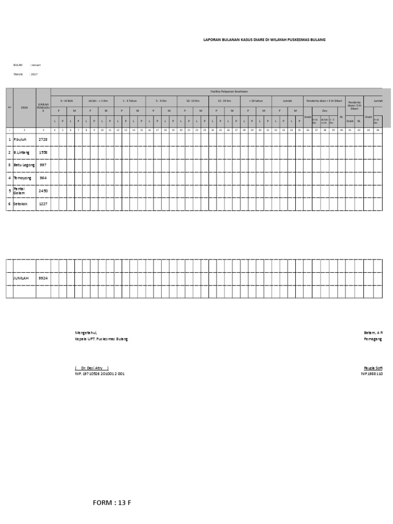 Format Laporan Diare Dan Lroa | PDF