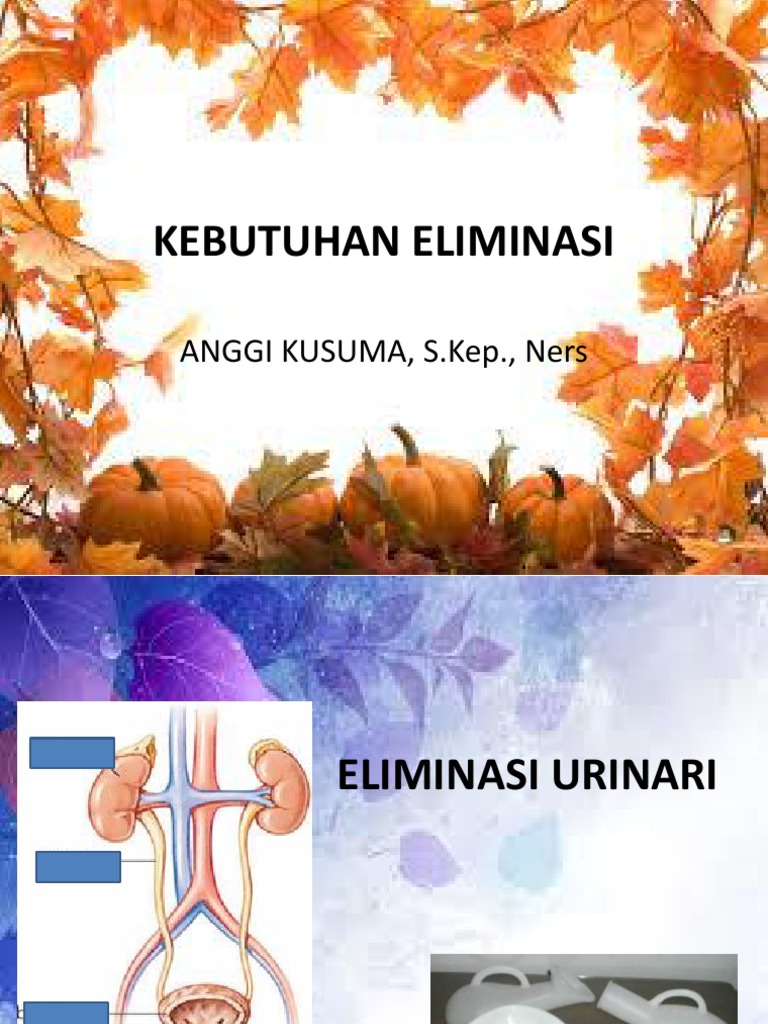 Panduan Eliminasi Urin dan Fecal | PDF