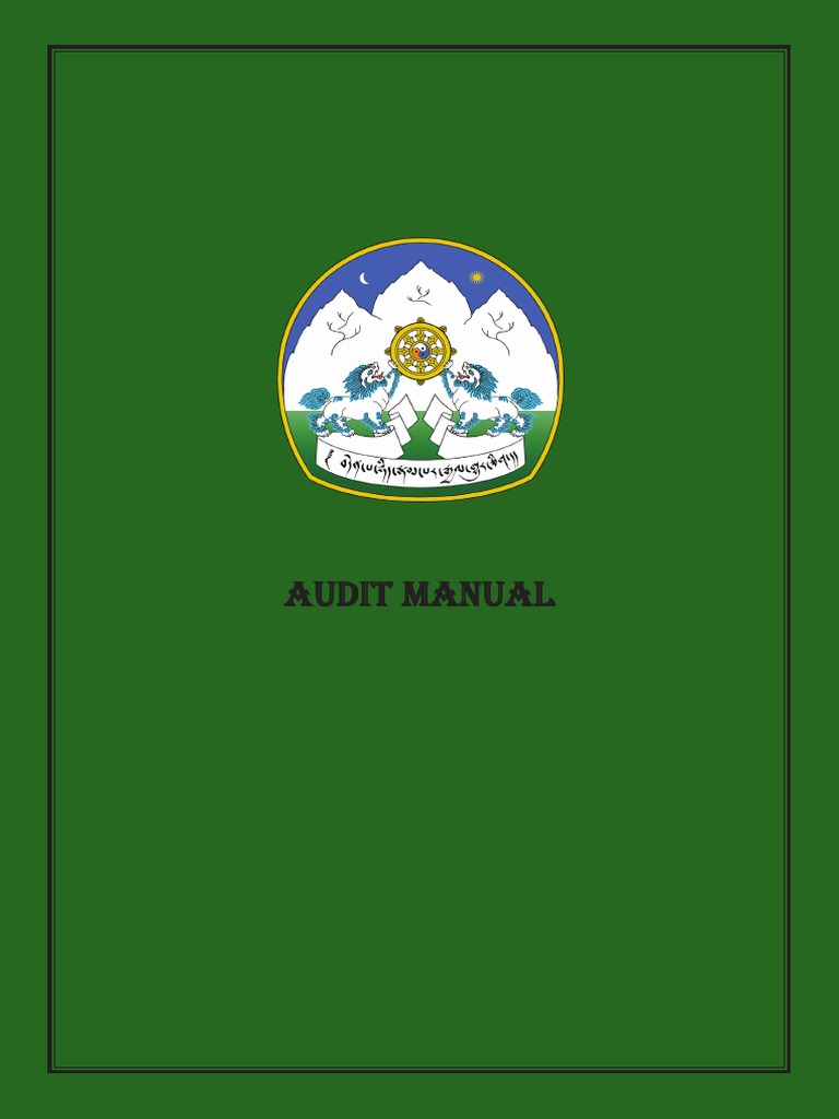 Audit Manual PDF | PDF