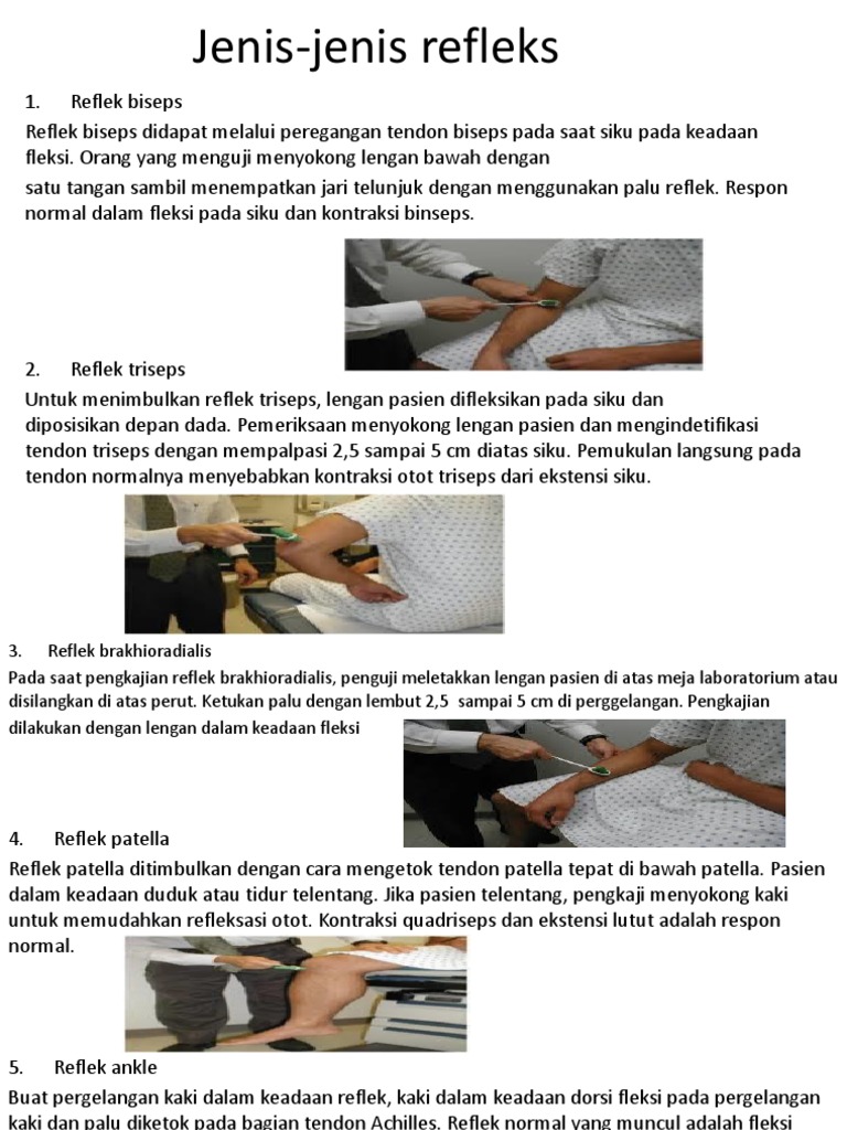 Jenis-Jenis Refleks | PDF