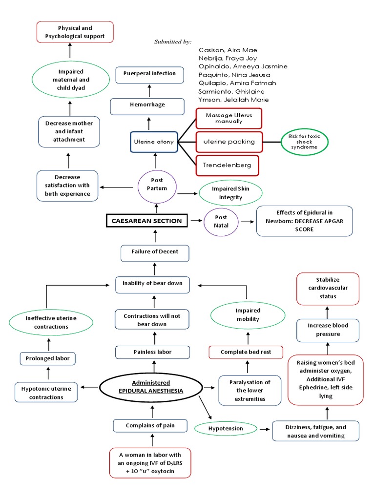 Epidural Flow Chart | PDF | Childbirth | Women's Health