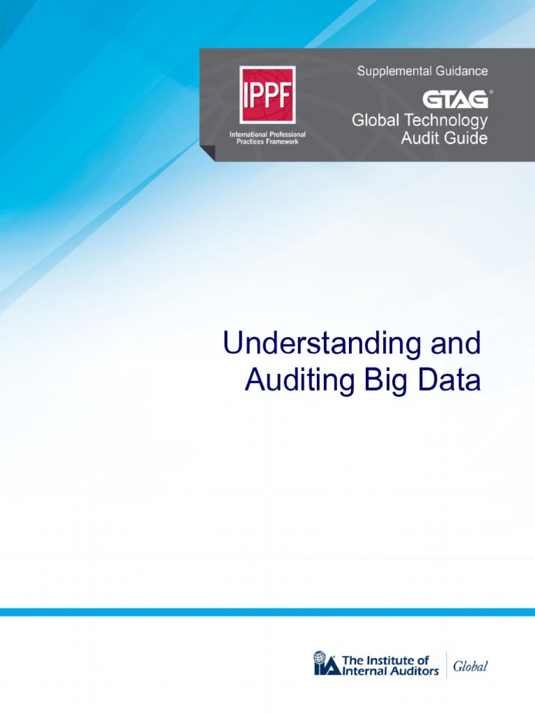 GTAG Understanding and Auditing Big Data | PDF | Cloud Computing | Big Data