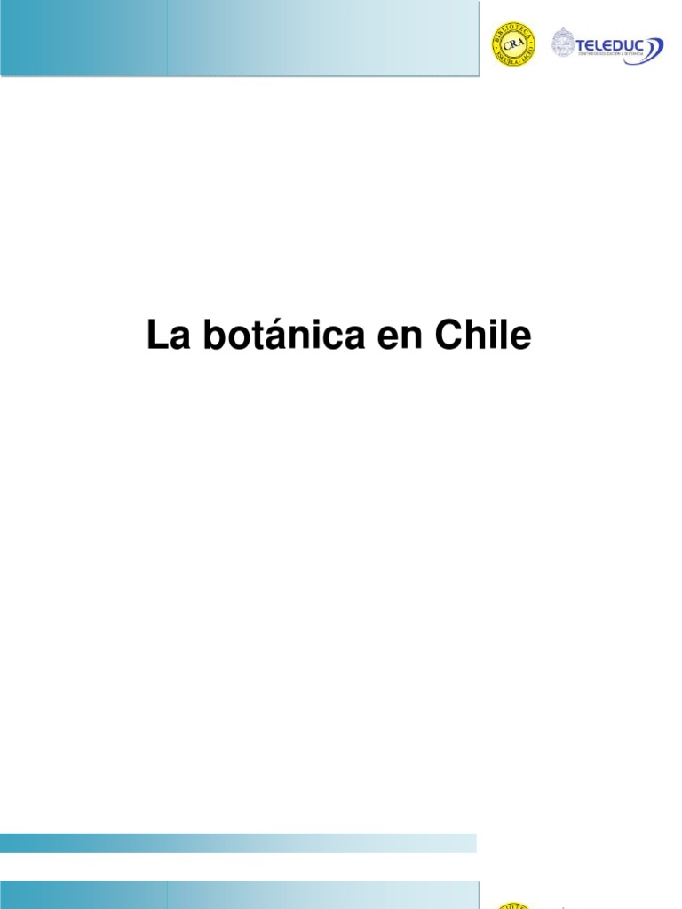 La Botanica en Chile | PDF | Chile | Arboles