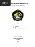Laporan Praktikum UJI KATALASE BAKTERI | PDF