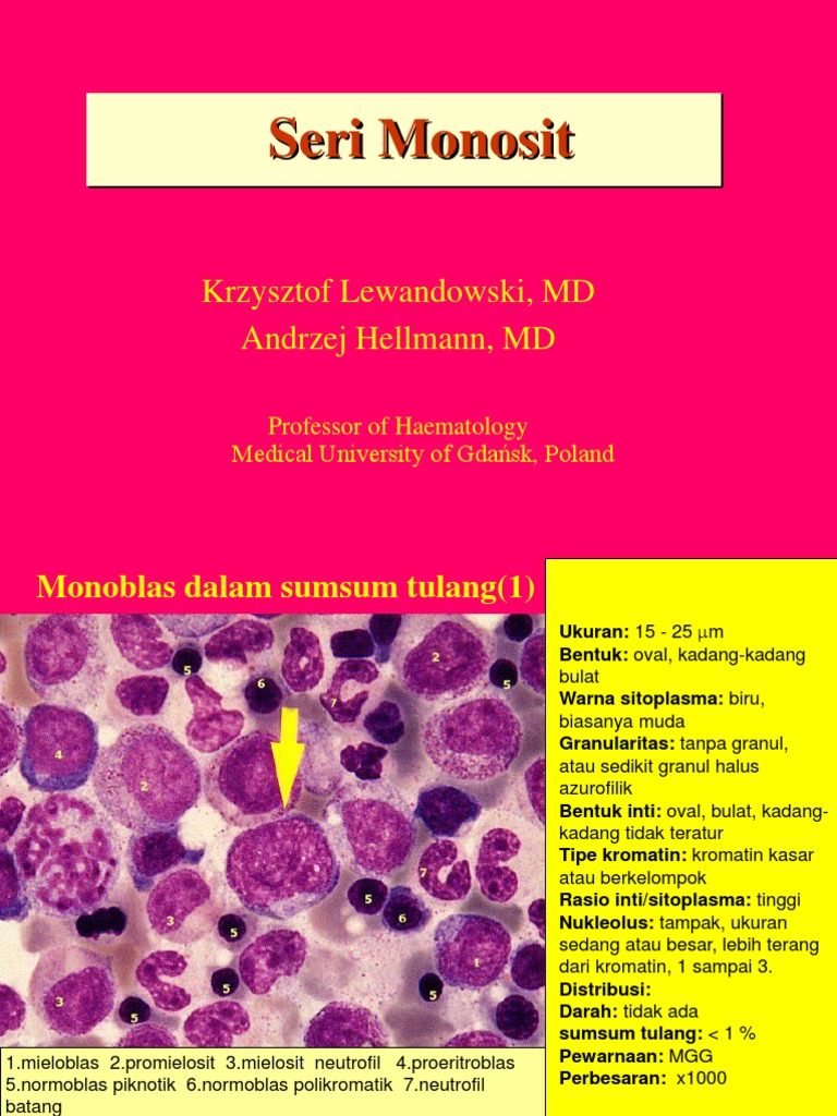 Karakteristik dan Struktur Monosit | PDF