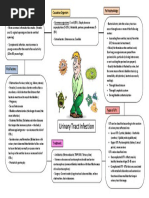 UTI - concept map | Urinary Tract Infection | Microbiology