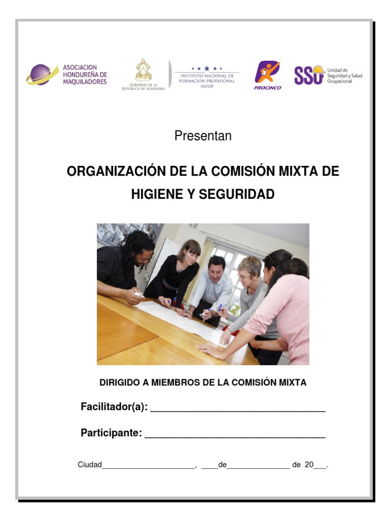 Manual - Organizacion de La Comision Mixta | PDF | La seguridad | Honduras