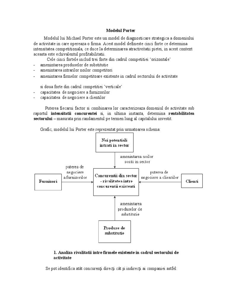 Modelul Porter | PDF