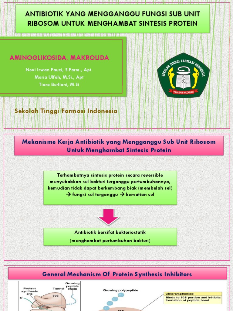 Aminoglikosida Dan Makrolida | PDF