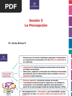 Modelo Racionalista (Perner y Leslie) | PDF | Mente | Percepción
