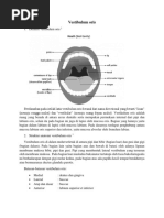 Anatomi Cavum Oris | PDF | Kajian Bahasa Asing