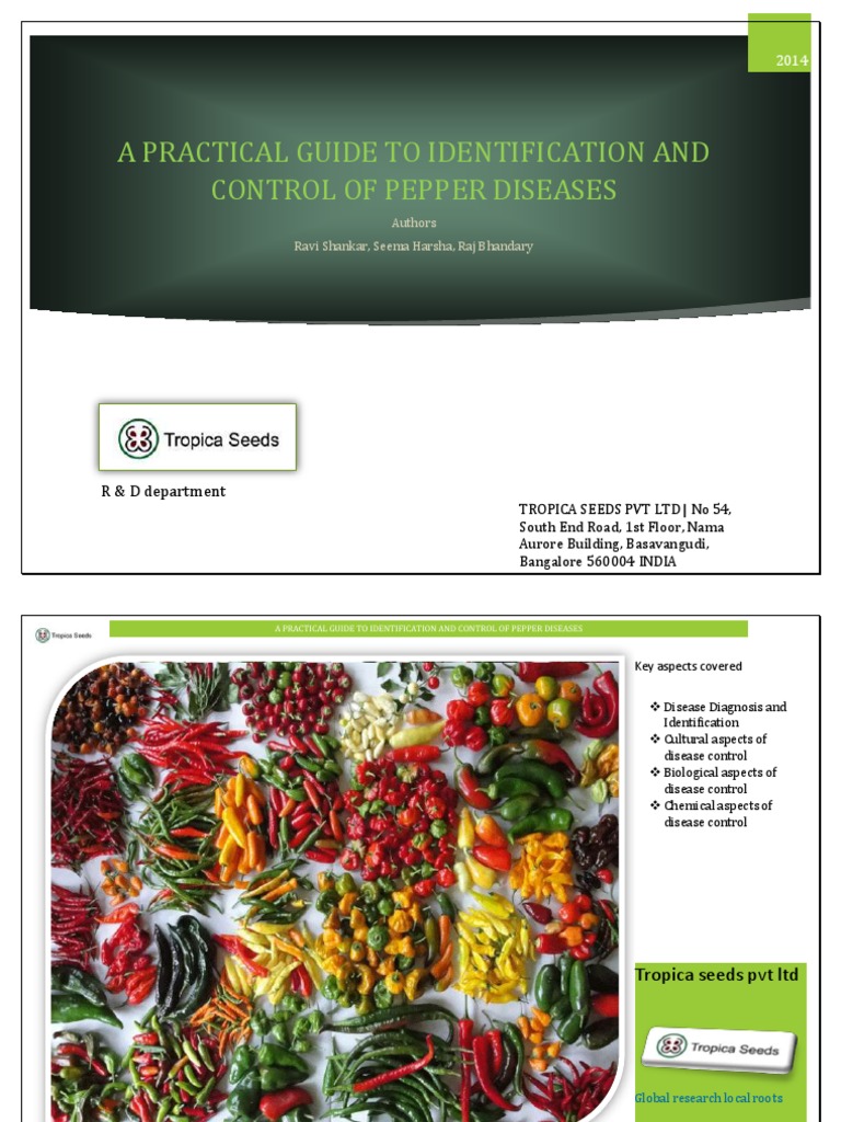 Pepper Diseases - A Practical Guide to Identification & Control | Plant ...
