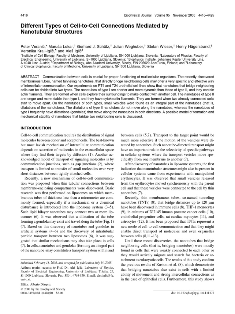 Different Types of Cell-to-Cell Connections Mediated by Nanotubular ...