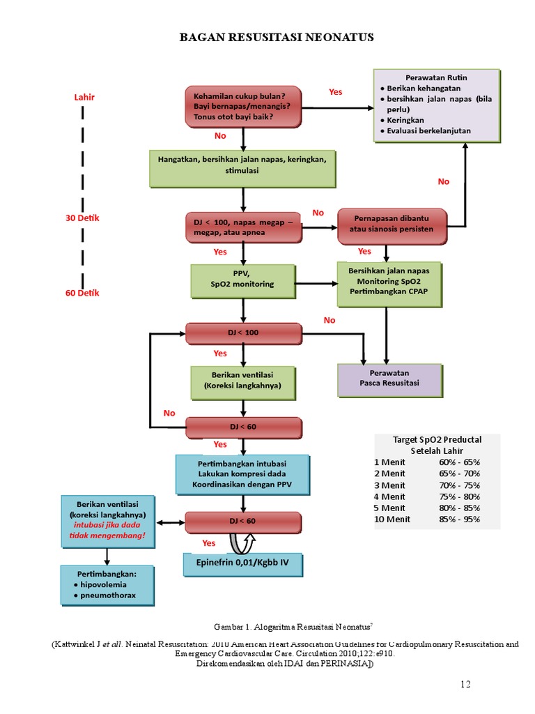Bagan Resusitasi Neonatus-1 | PDF
