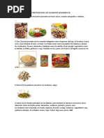 El Mamon en Venezuela | PDF | Alimentos | Plantas comestibles