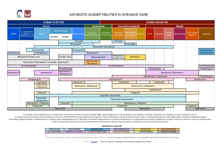 Wellington ICU Antibiotic Coverage Chart | PDF | Biocides | Antibiotics