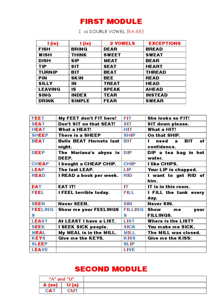 First Module: I Ea-Ee I (Ie) I (Ie) 2 Vowels Exceptions | PDF