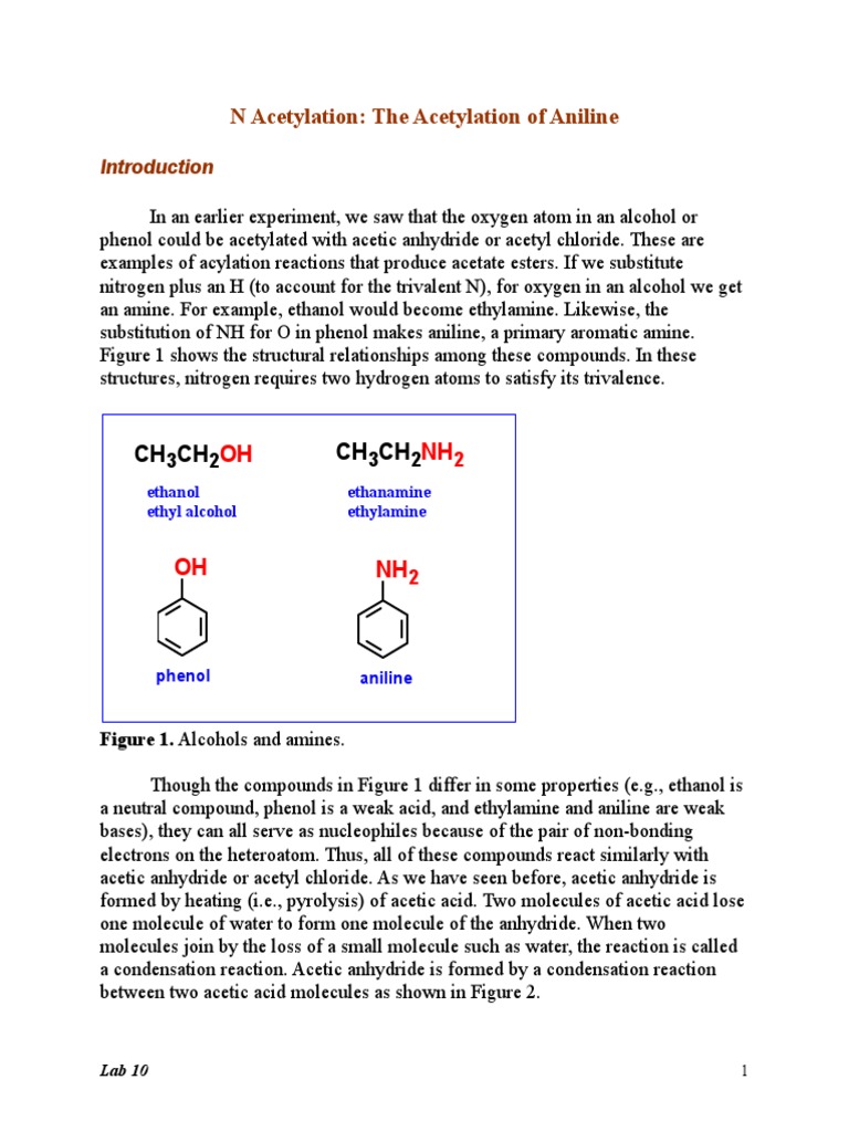 Lab 10 N Acetylation - The Acetylation of A Primary Aromatic Amine ...
