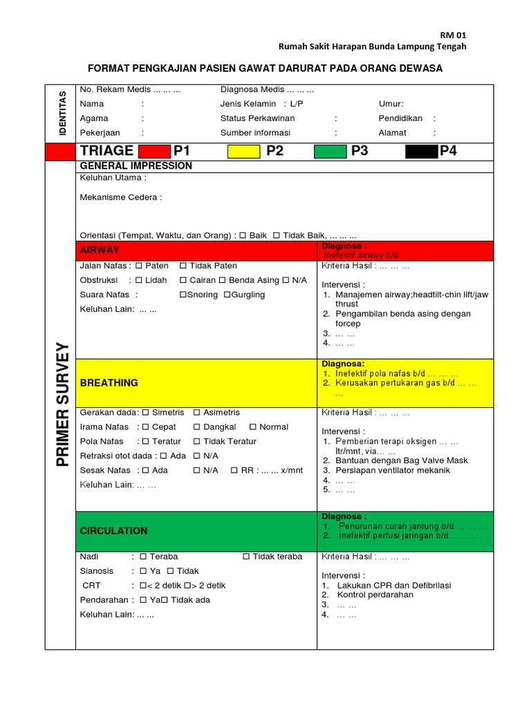 Format Pengkajian Triage | PDF