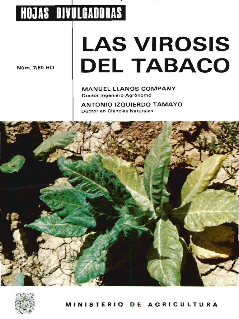 Las Virosis Del Tabaco | Virus | Organismos