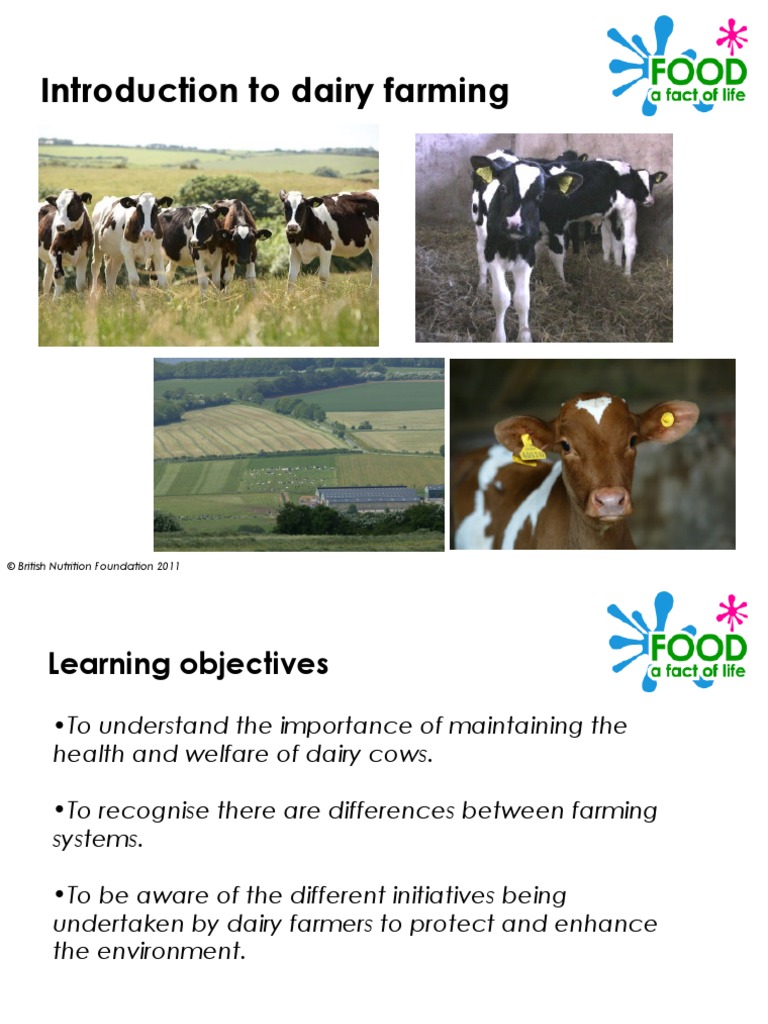 Dairy Farm Presentation | PDF | Dairy Farming | Dairy