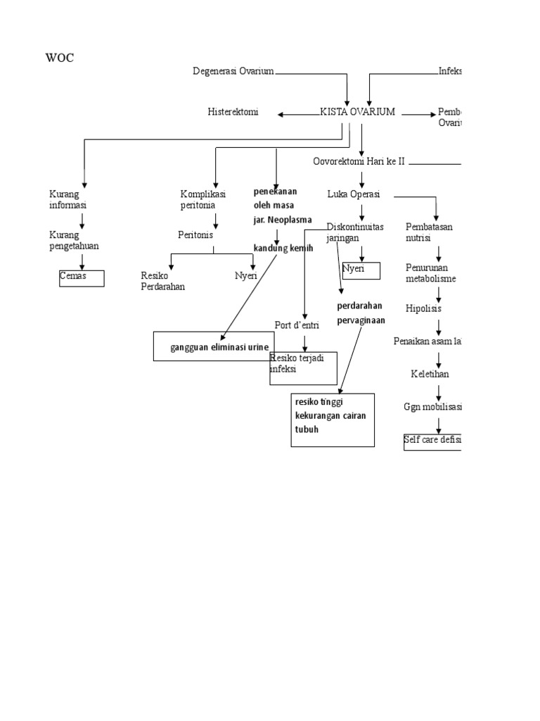 Pathway Kista Ovarium dan Komplikasinya | PDF
