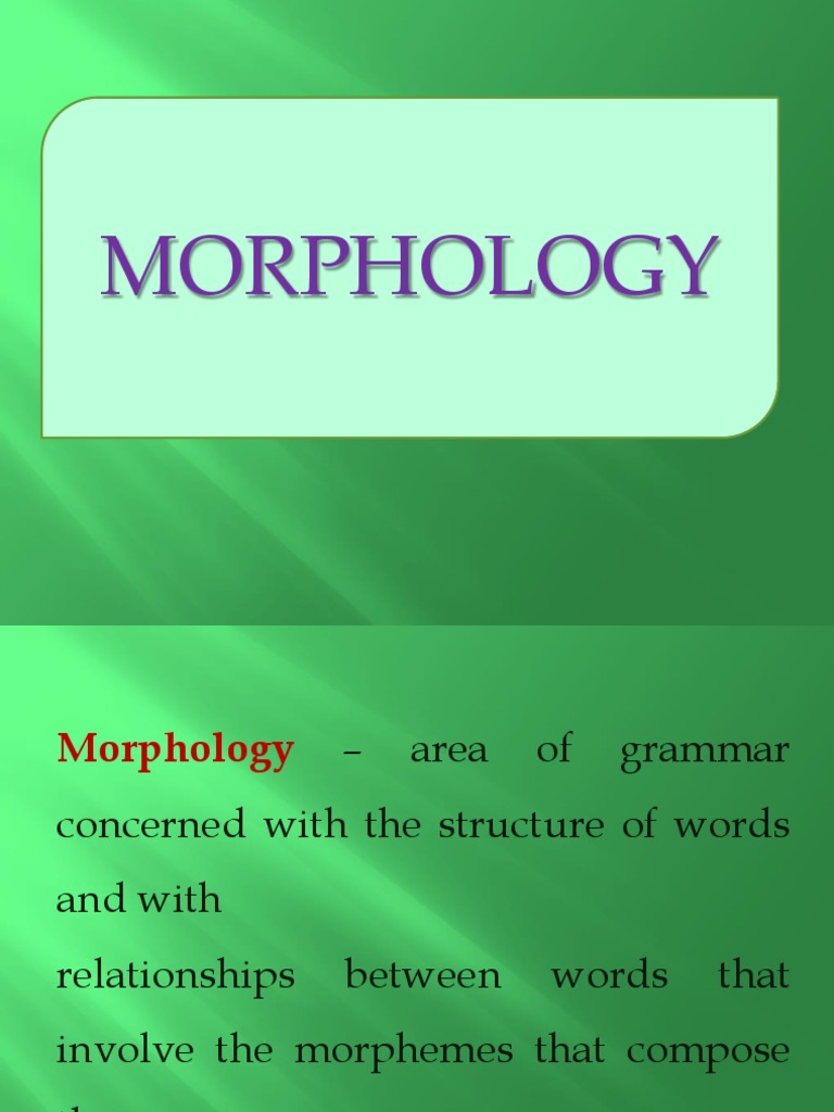 Understanding Morphology in Grammar | PDF | Morphology (Linguistics) | Word