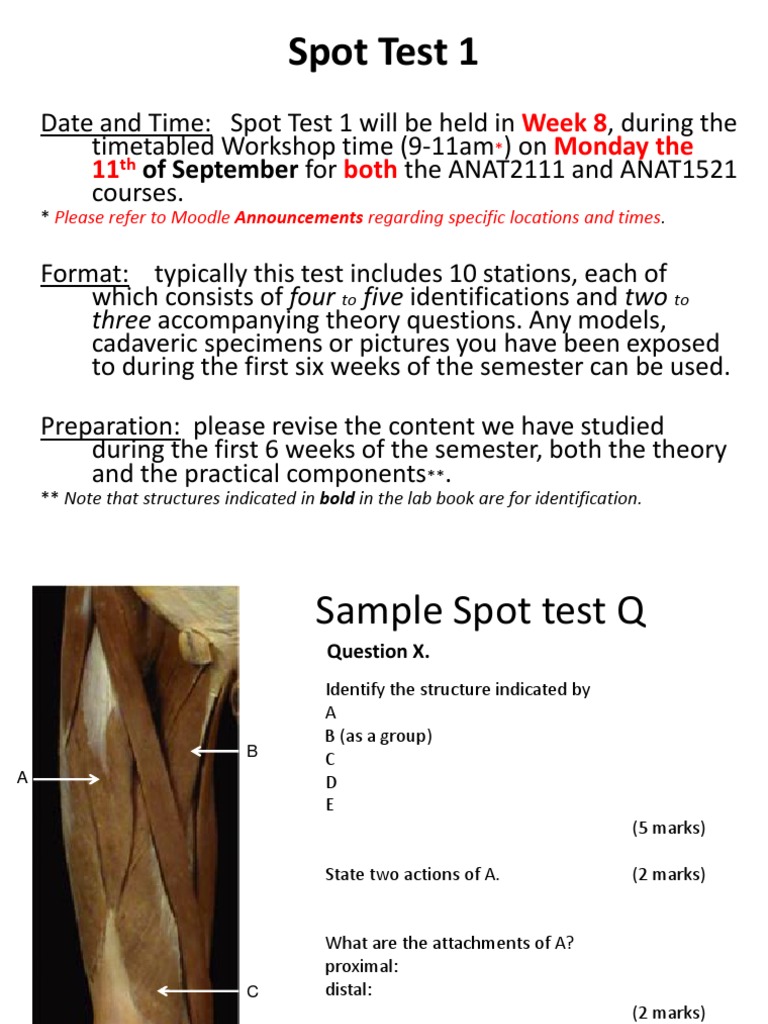 Spot Test 1-Sem 2 Info | PDF | Teaching Methods & Materials | Science ...