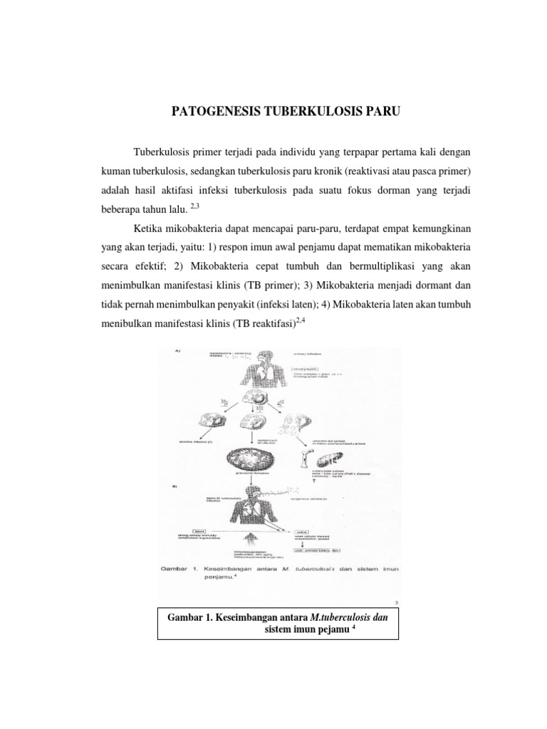 PATOGENESIS TUBERKULOSIS PARU DR Jatu | PDF