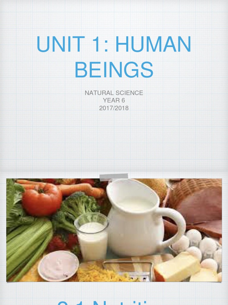 Unit 1 Human Beings Sessions 3-4 PP | PDF | Circulatory System | Heart