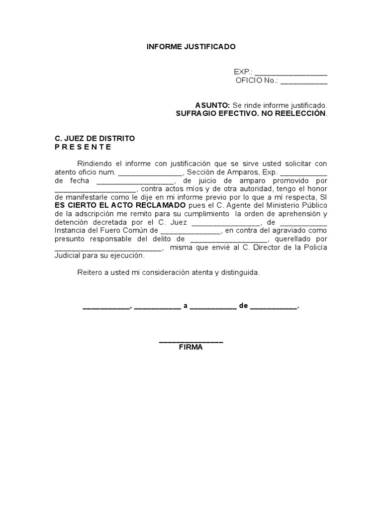 Informe Justificado | PDF | Gobierno | Justicia