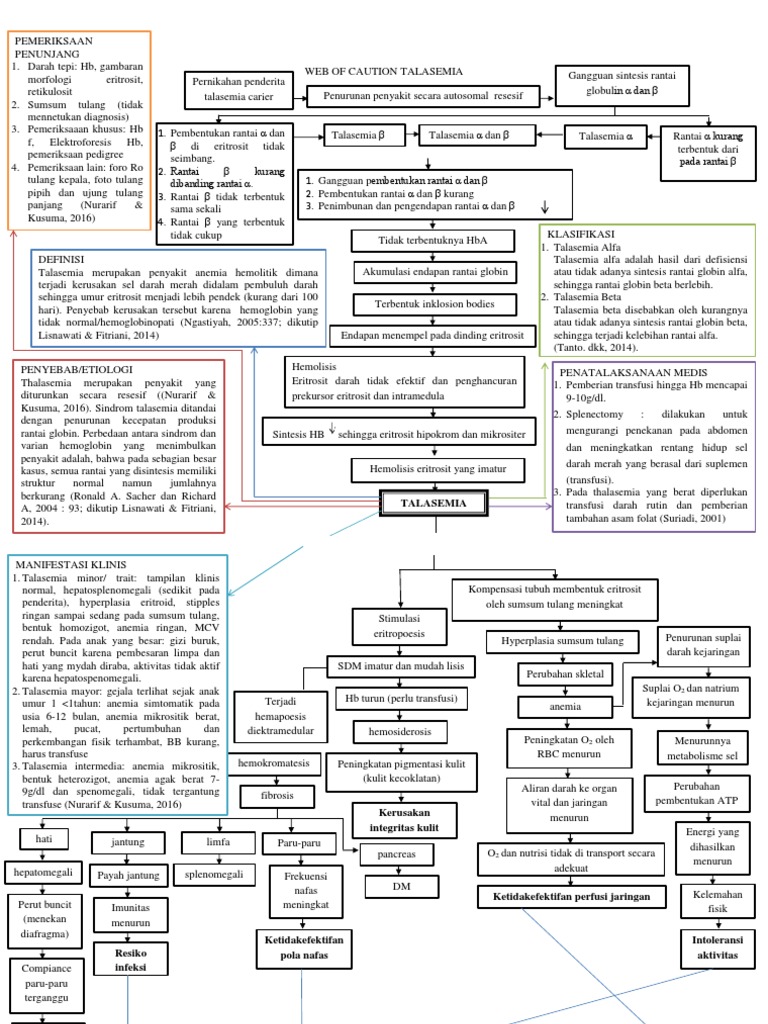 Web of Caution Talasemia | PDF
