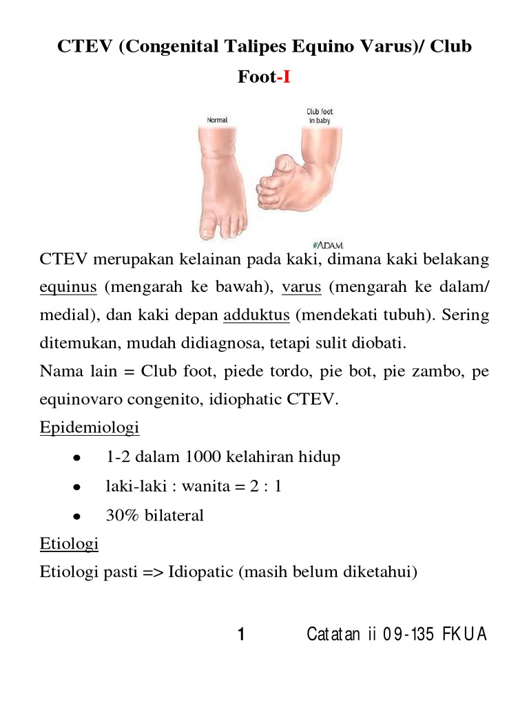 Ctev PDF | PDF | Sains & Matematika