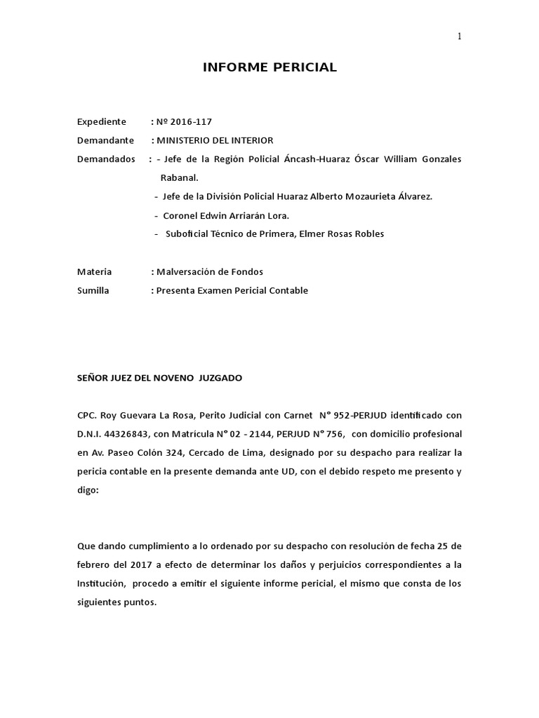 Informe Pericial | PDF | Logística | Perú