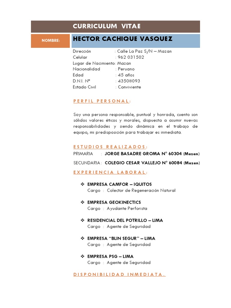 Curriculum Vitae Hector Cachique Vasquez | PDF