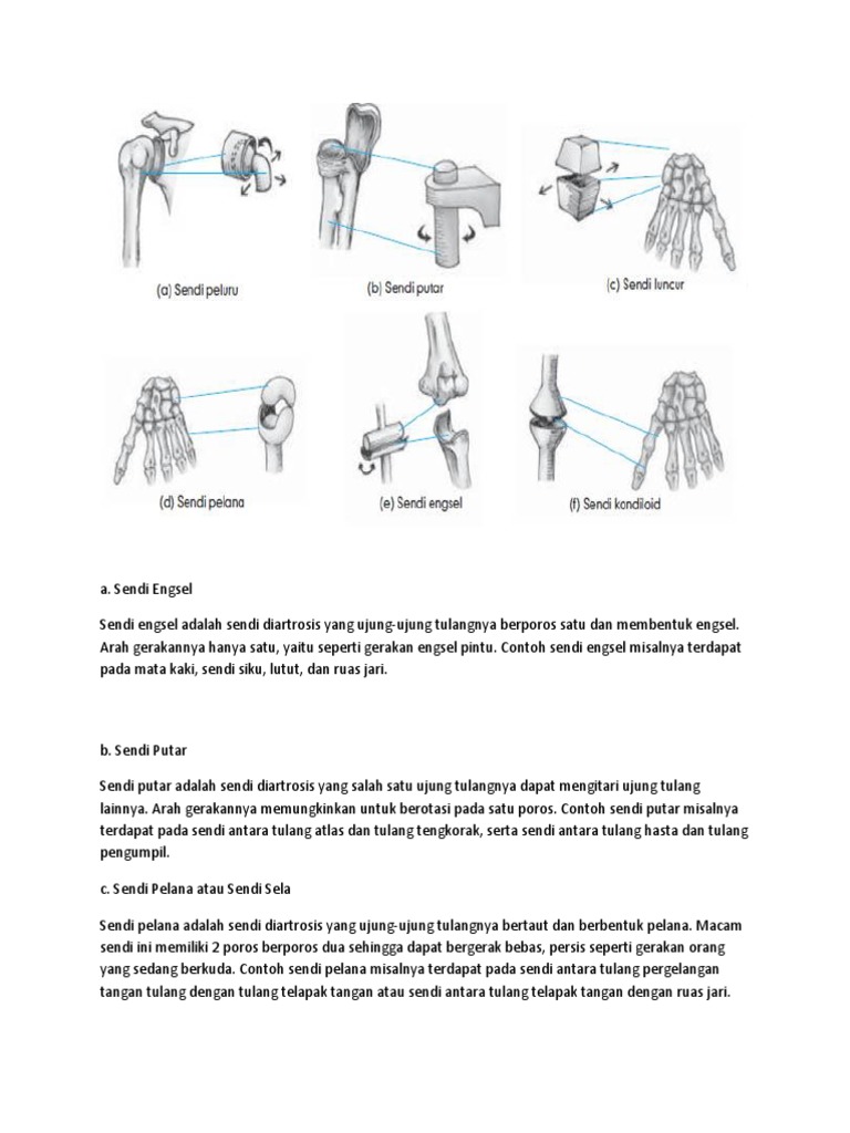 SENDI | PDF | Ilmu Sosial