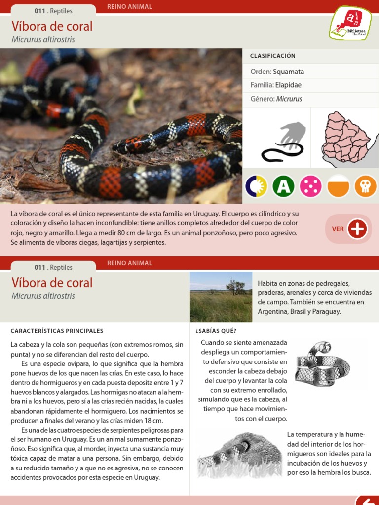 011 Vibora de Coral | PDF | Naturaleza
