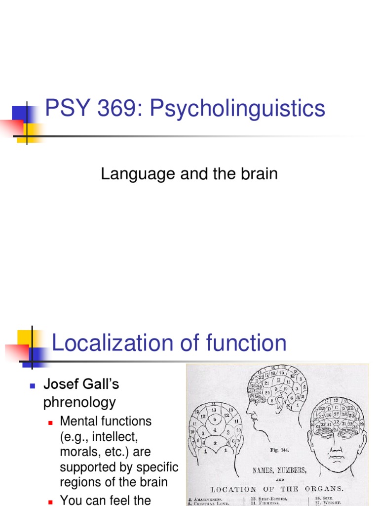 PSY 369: Psycholinguistics: Language and The Brain | PDF ...