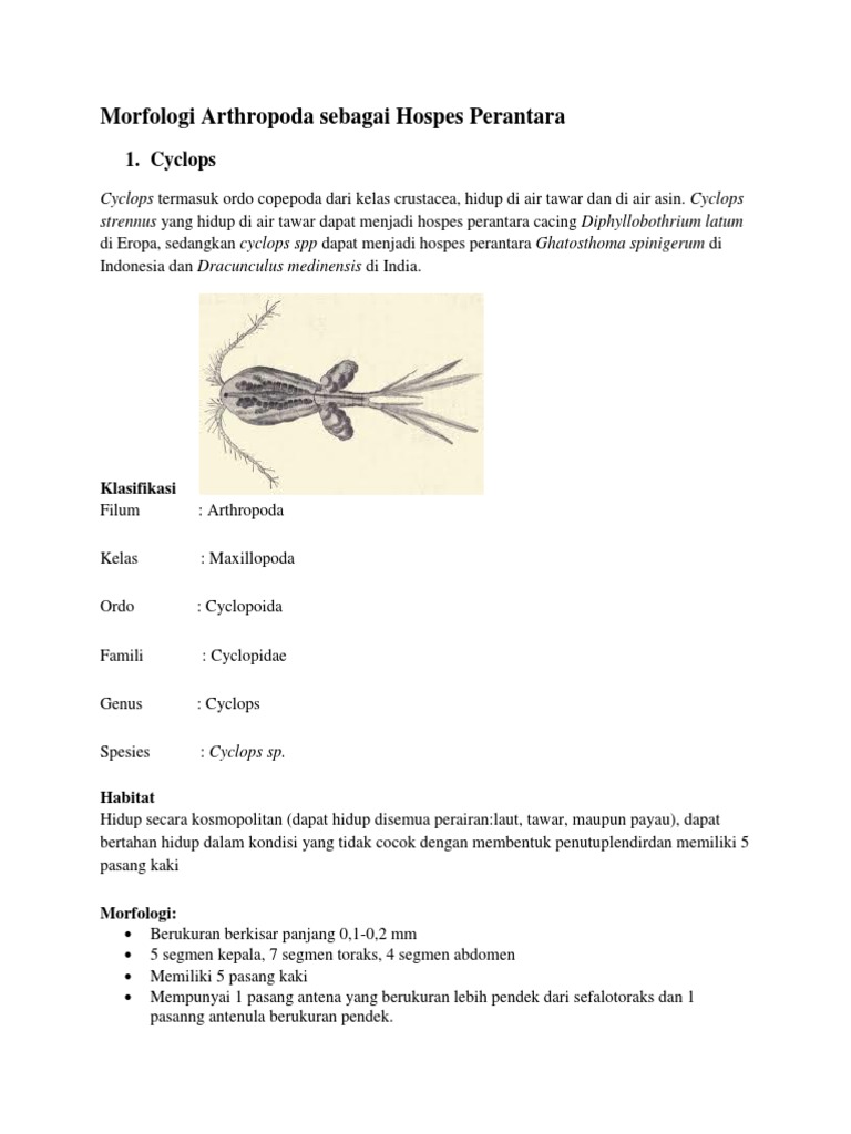 H Perantara Arthropoda | PDF