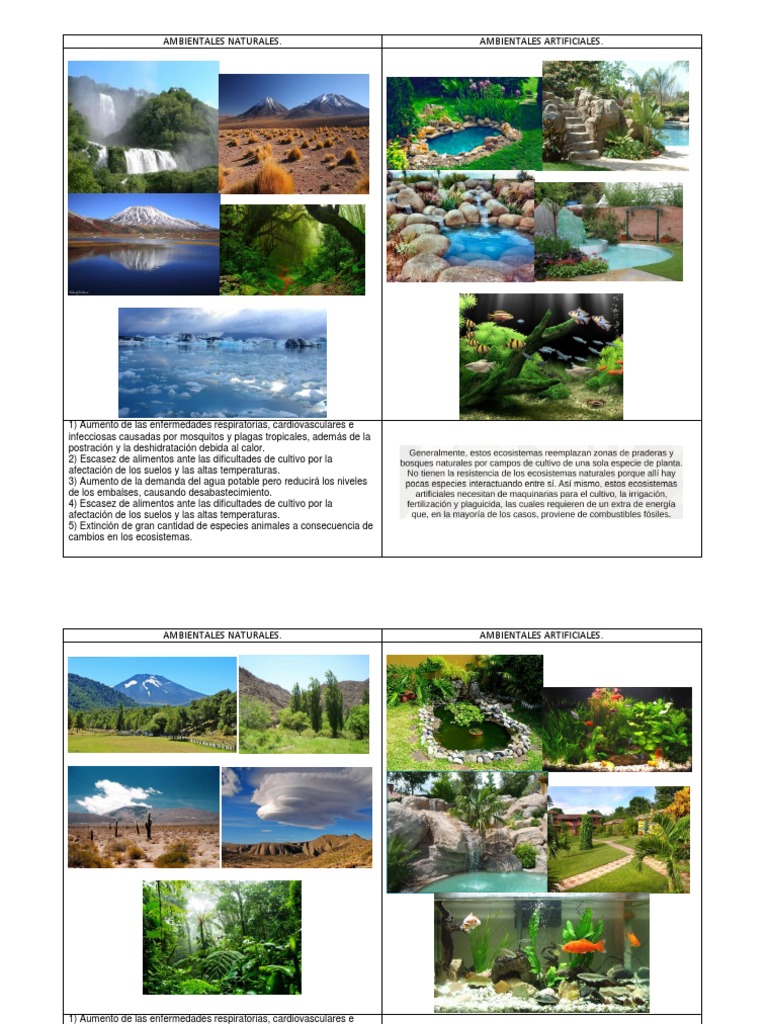 Ambientes Artificiales y Naturales | PDF