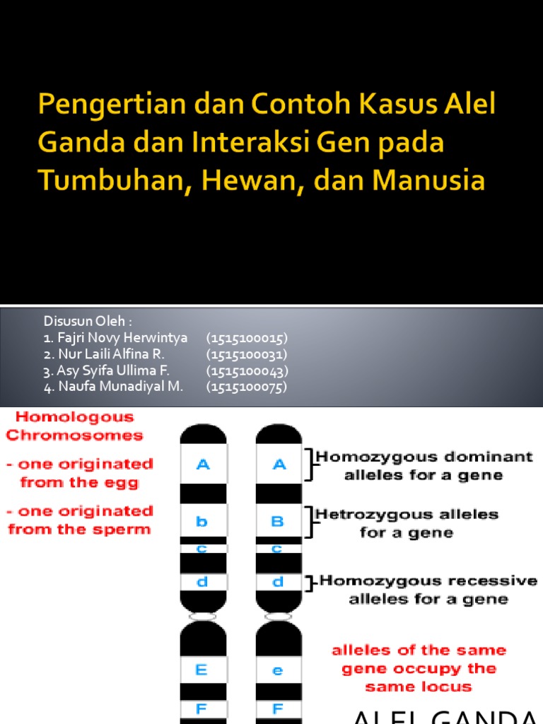 Pengertian Dan Contoh Kasus Alel Ganda Dan Interaksi | PDF