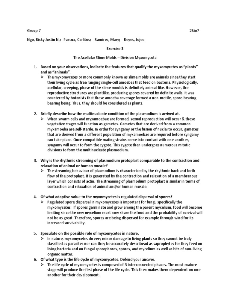Botany Lab Exercises 3 To 8 Group 7 2B7 PDF | PDF | Spore | Fungus