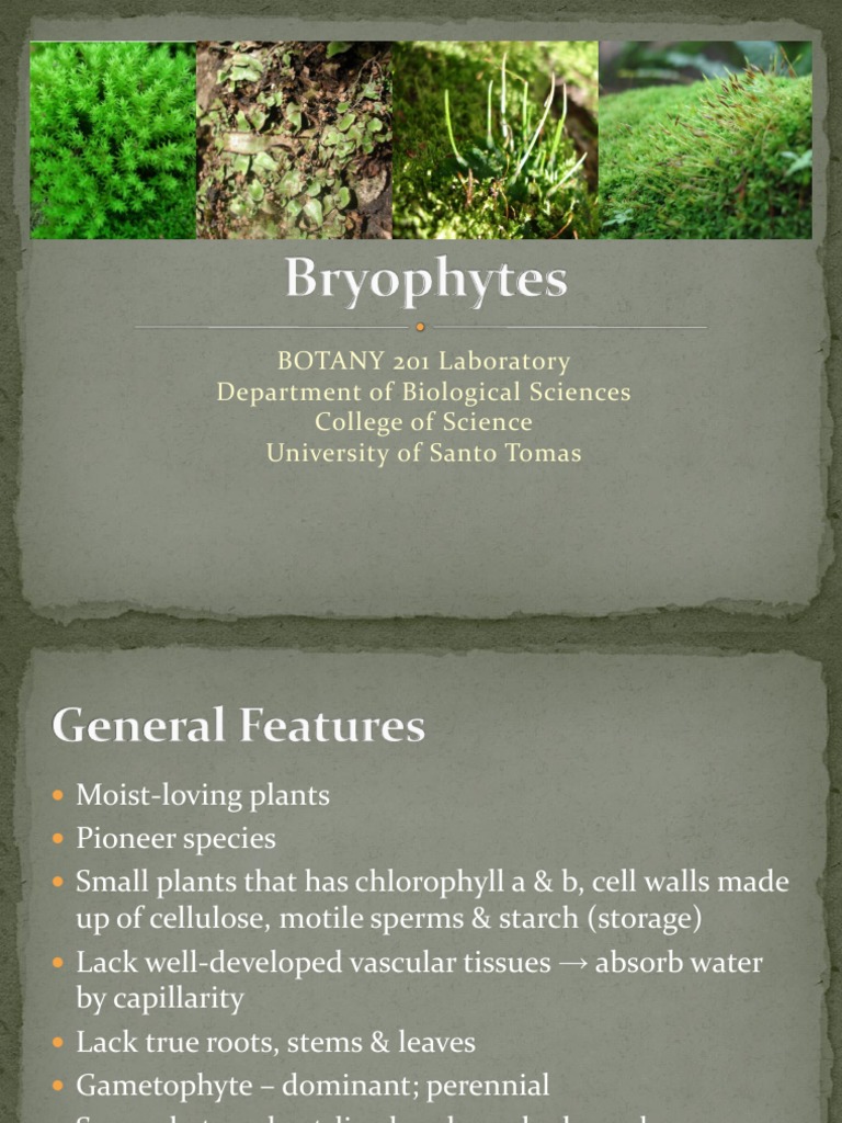 BOTANY 201 Laboratory Department of Biological Sciences College of ...