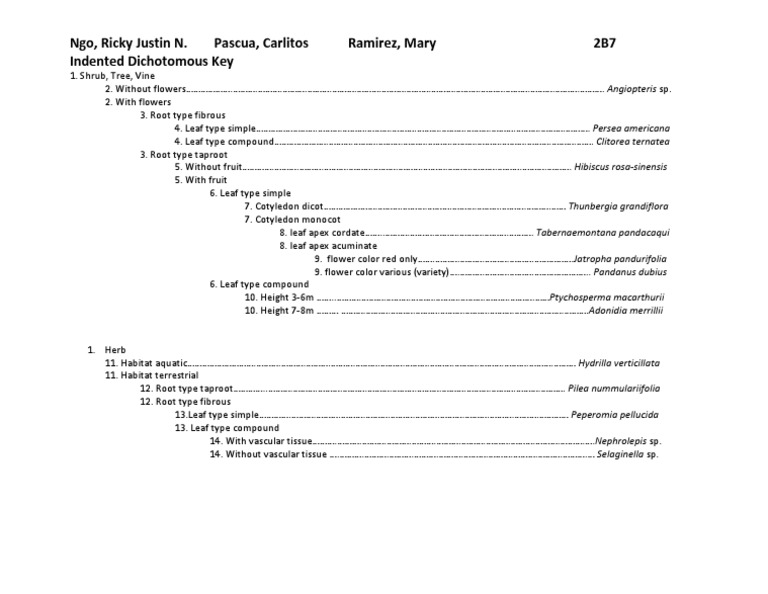 An Indented Dichotomous Key for Identifying Common Philippine Plants | PDF