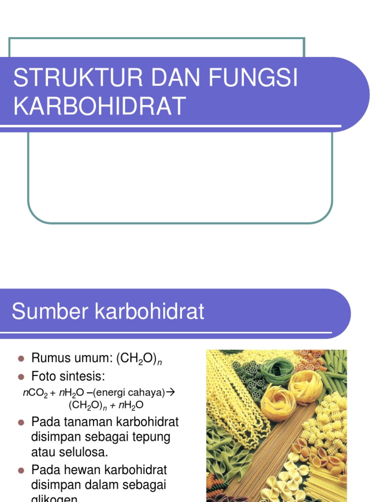 Struktur Fungsi Karbohidrat | PDF