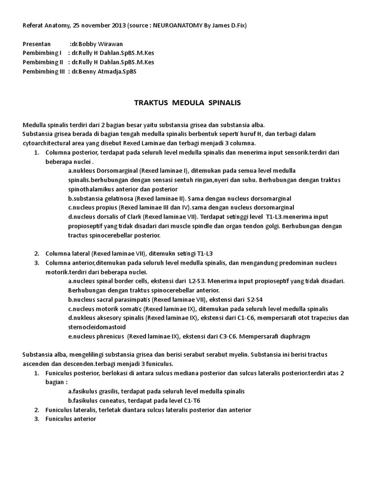 Traktus Medula Spinalis dan Fungsinya | PDF | Filsafat