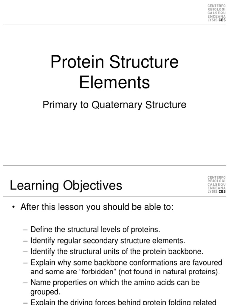 Intro To Protein Structure | PDF | Beta Sheet | Protein Folding