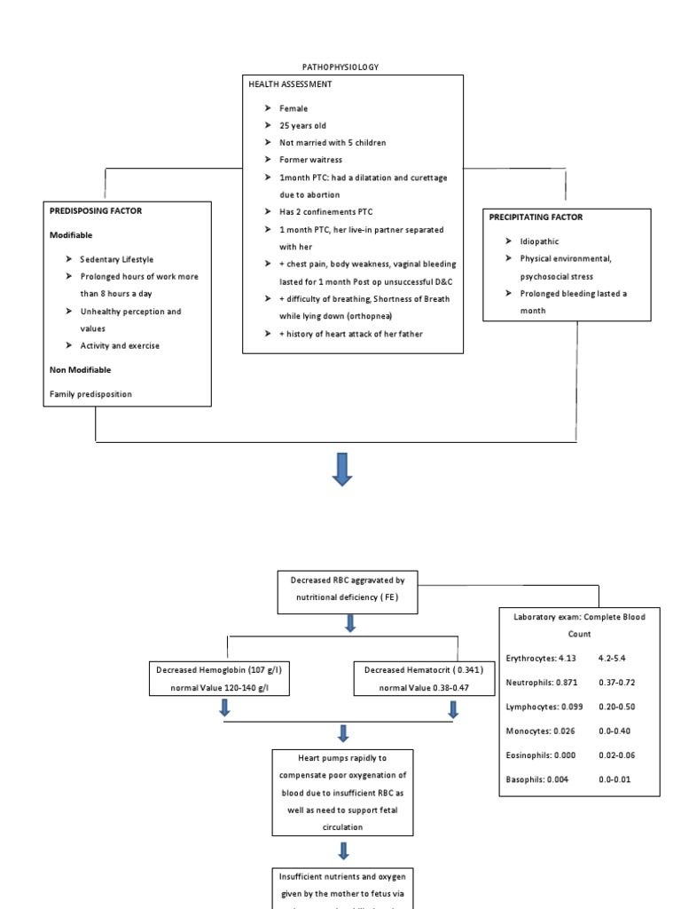 Predisposing Factor Modifiable Precipitating Factor | PDF | Fetus | Heart
