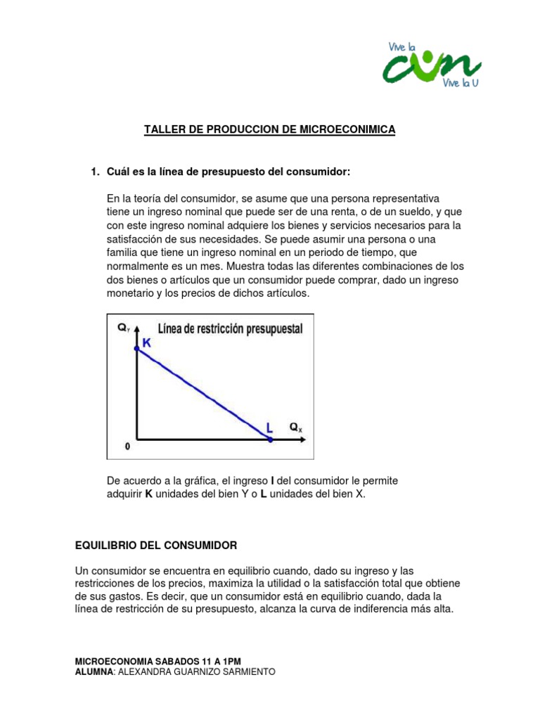 Taller De Produccion De Microeconomia Pdf Microeconomía